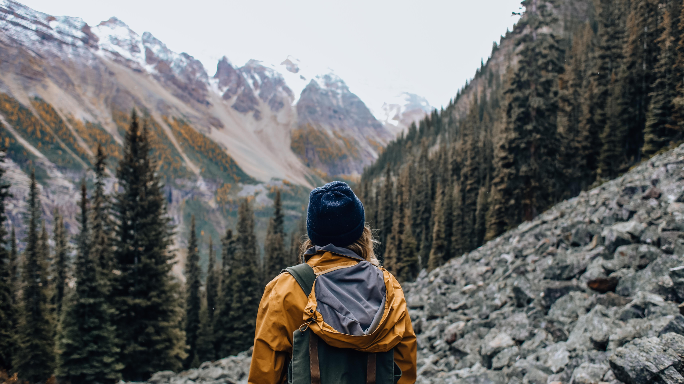 Google’s New Image-Based Ad Format for Online Retailers – Foghorn Labs